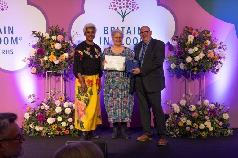 Bath BID wins prestigious Britain in Bloom Award - Bath Business ...